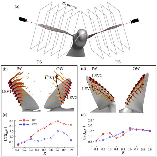 Biomimetics | Free Full-Text | Wing Kinematics and Unsteady ...
