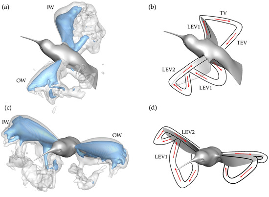 Wing Kinematics and Unsteady Aerodynamics of a Hummingbird Pure Yawing ...