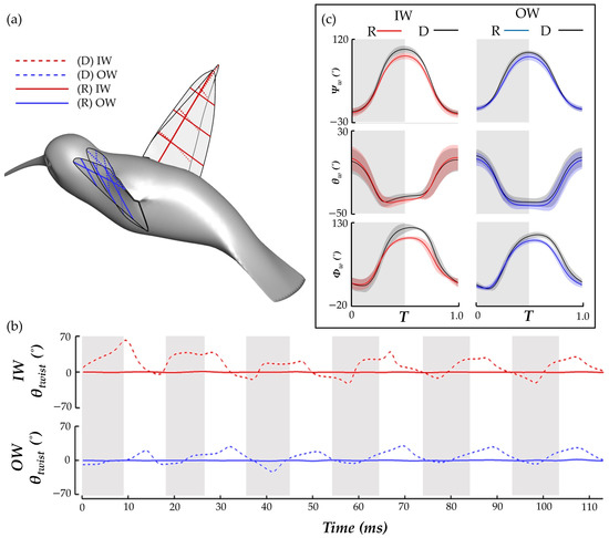Biomimetics | Free Full-Text | Wing Kinematics and Unsteady ...