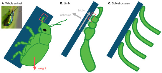 Studying Stickiness: Methods, Trade-Offs, and Perspectives in Measuring ...