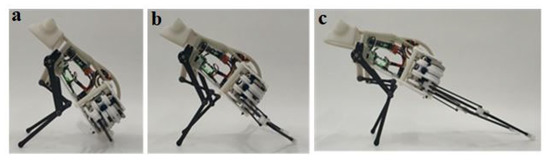 Design of the Jump Mechanism for a Biomimetic Robotic Frog