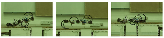 A Novel Wheel-Legged Hexapod Robot