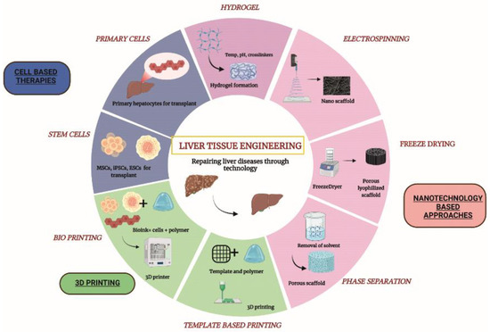 Evolution of Electrospinning in Liver Tissue Engineering
