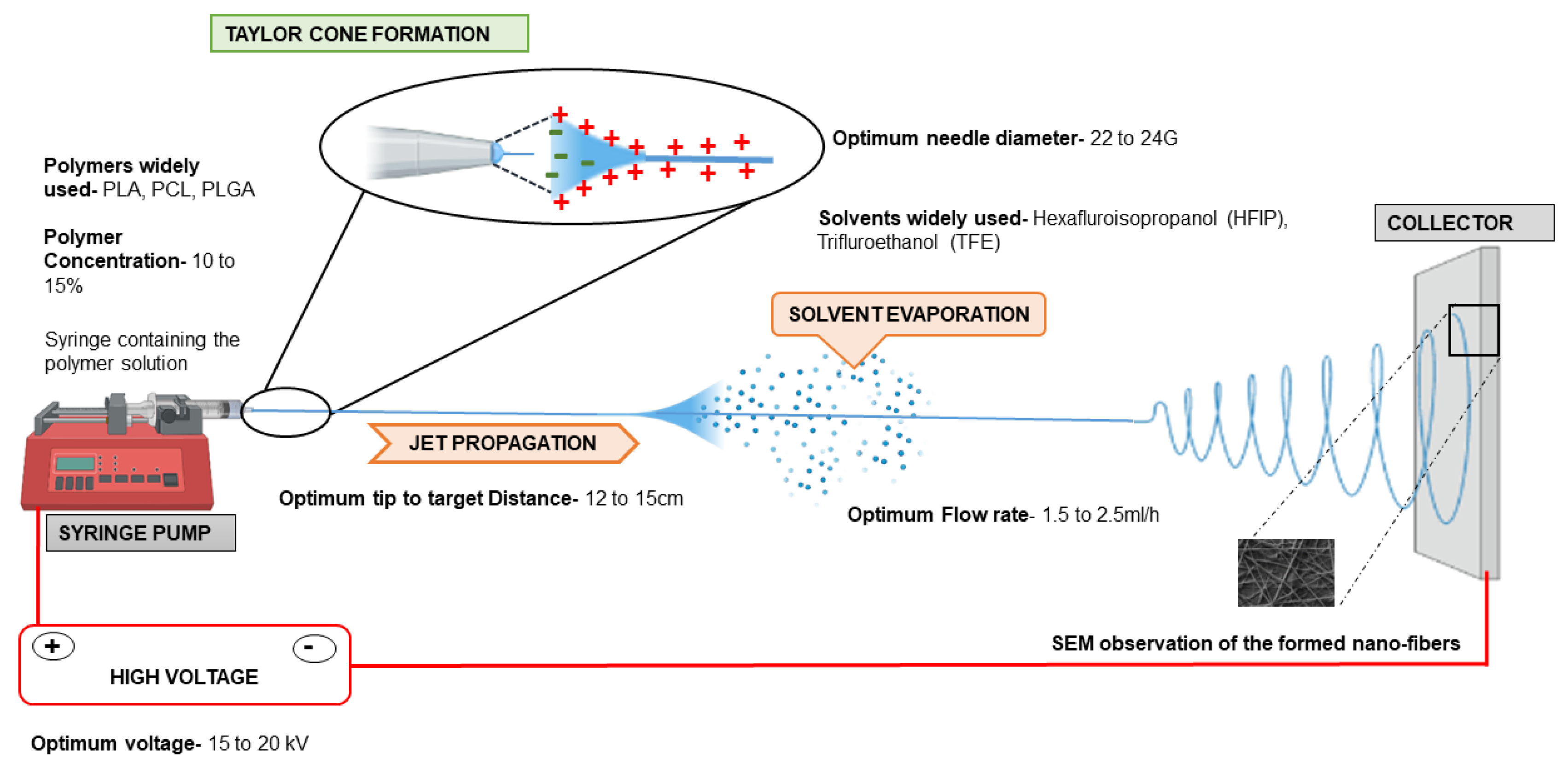 Evolution of Electrospinning in Liver Tissue Engineering