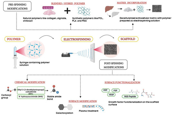 Evolution of Electrospinning in Liver Tissue Engineering