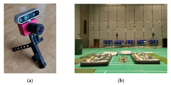 Biomimetics | Special Issue : Bio-Inspired Flight Systems and Bionic ...