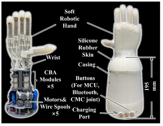 Biomimetics | Free Full-Text | Double-Acting Soft Actuator for Soft ...