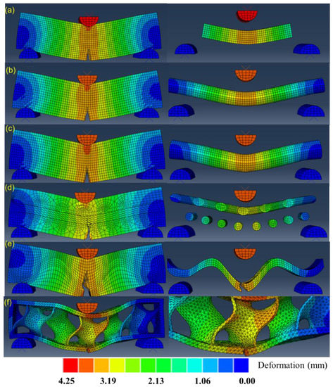 Biomimetics | Free Full-Text | Bending Study of Six Biological Models ...