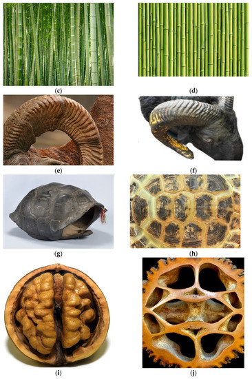 Biomimicking Nature-Inspired Design Structures—An Experimental and Simulation Approach Using ...