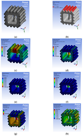 Biomimicking Nature-Inspired Design Structures—An Experimental and Simulation Approach Using ...