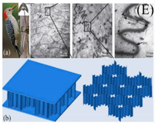 Biomimicking Nature-Inspired Design Structures—An Experimental and Simulation Approach Using ...
