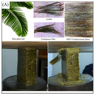 Biomimicking Nature-Inspired Design Structures—An Experimental and Simulation Approach Using ...