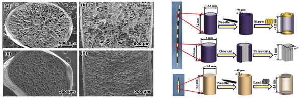 Biomimicking Nature-Inspired Design Structures—An Experimental and Simulation Approach Using ...