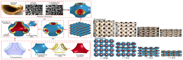 Biomimicking Nature-Inspired Design Structures—An Experimental and Simulation Approach Using ...