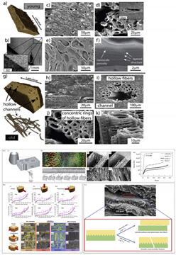 Biomimicking Nature-Inspired Design Structures—An Experimental and Simulation Approach Using ...