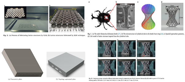 Biomimicking Nature-Inspired Design Structures—An Experimental and Simulation Approach Using ...