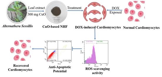 Biomimetics | Free Full-Text | Preparation of Novel Nanoformulation to ...