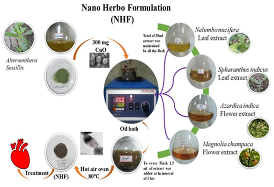 Preparation of Novel Nanoformulation to Enhance Efficacy in the ...