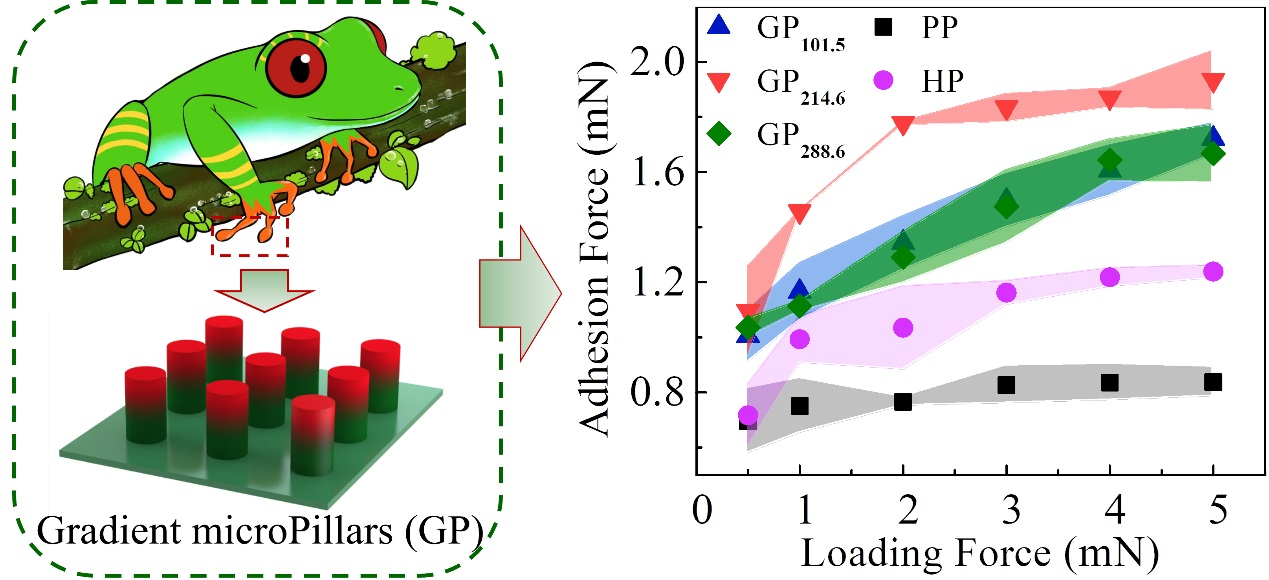 Biomimetics | Free Full-Text | Gradient Micropillar Array Inspired by ...