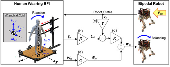 Standing Balance Control of a Bipedal Robot Based on Behavior Cloning