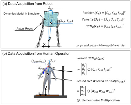 Standing Balance Control of a Bipedal Robot Based on Behavior Cloning