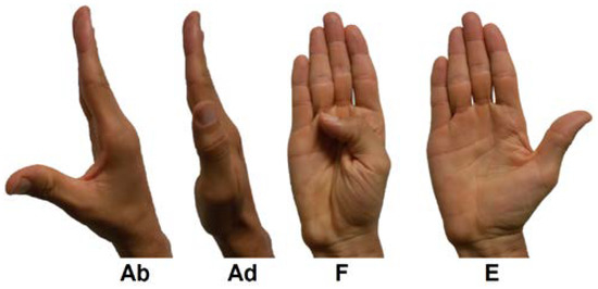 Biomimetics | Free Full-Text | Effect of the Thumb Orientation and ...