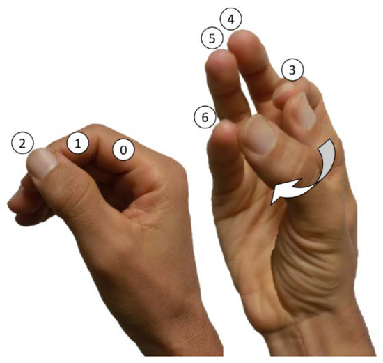 Biomimetics | Free Full-Text | Effect of the Thumb Orientation and ...