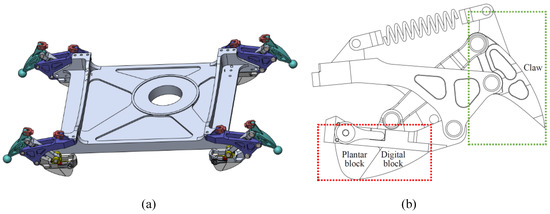 Design of a Felid-like Humanoid Foot for Stability Enhancement