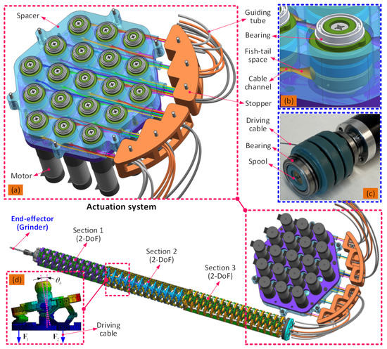 Biomimetics | Free Full-Text | Collaborative Continuum Robots for ...