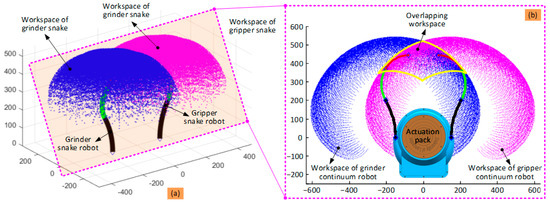 Biomimetics | Free Full-Text | Collaborative Continuum Robots for ...