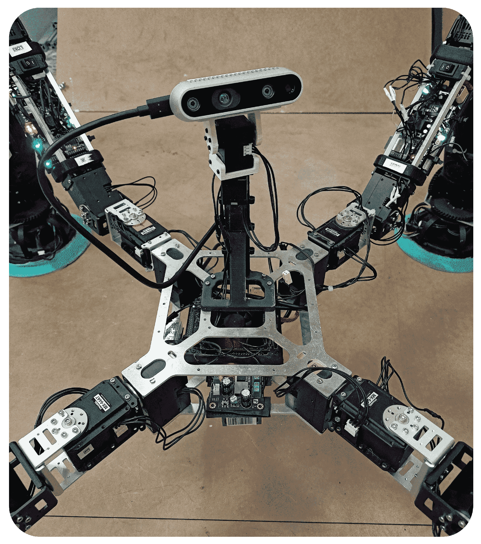 MoCLORA—An Architecture for Legged-and-Climbing Modular Bio-Inspired ...