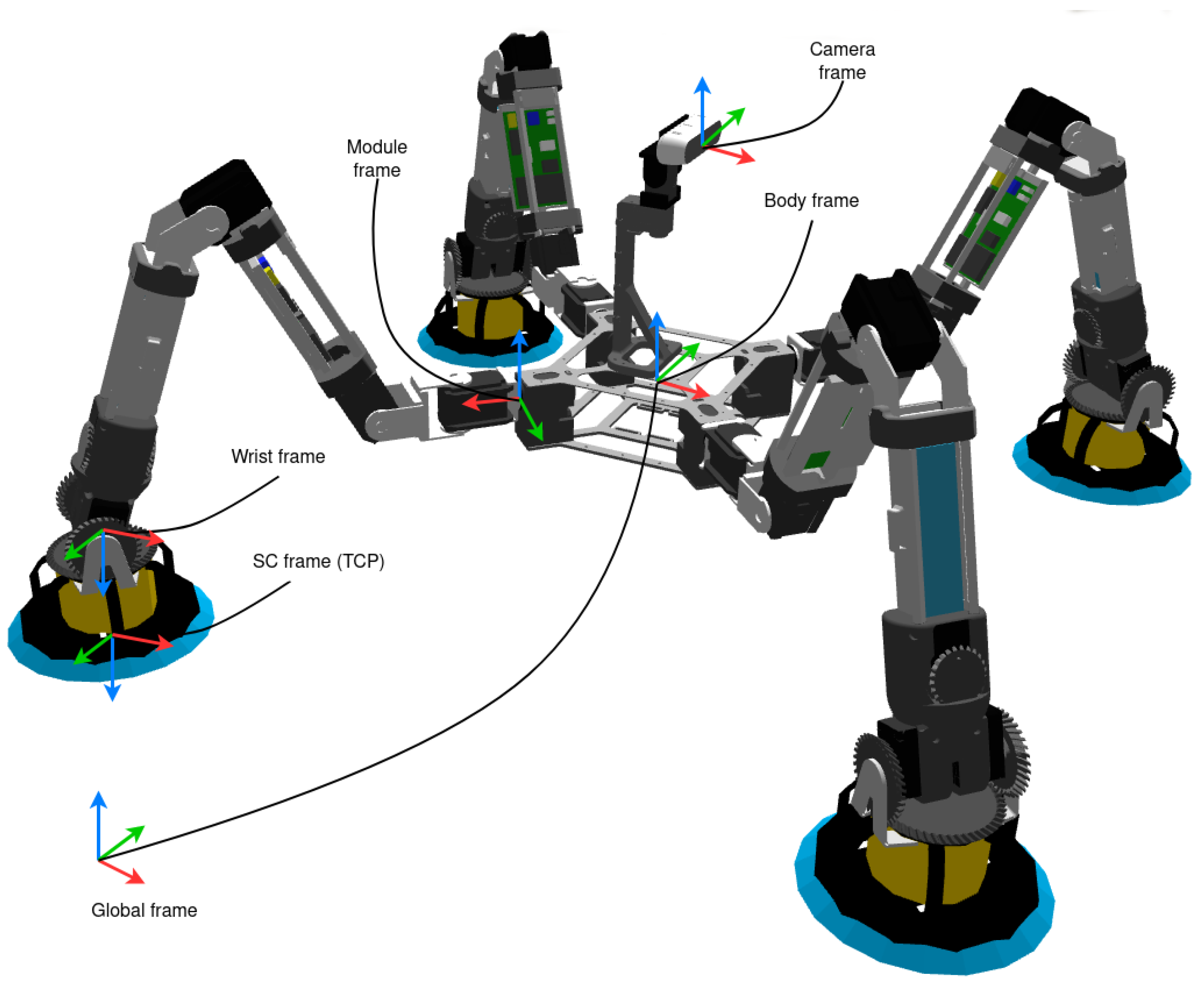 MoCLORA—An Architecture for Legged-and-Climbing Modular Bio-Inspired Robotic Organism