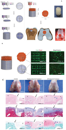 Recent Developments of Silk-Based Scaffolds for Tissue Engineering and Regenerative Medicine ...