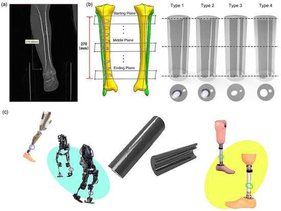 Development of a Bionic Tube with High Bending-Stiffness Properties ...