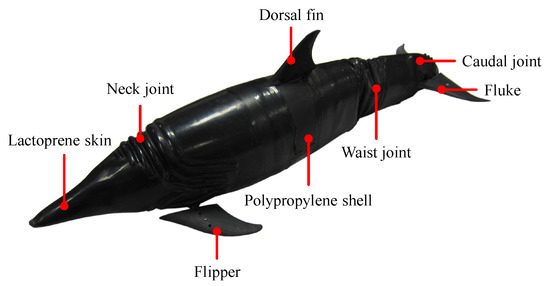 Quantifying the Leaping Motion Using a Self-Propelled Bionic Robotic ...