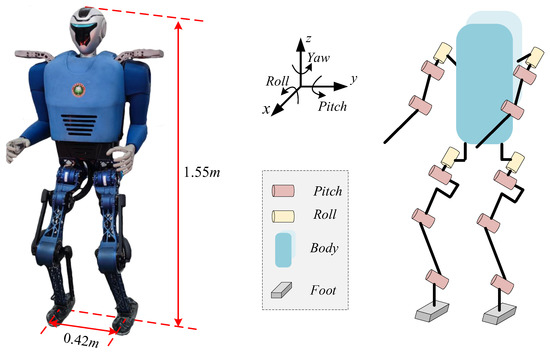 Hybrid Momentum Compensation Control by Using Arms for Bipedal Dynamic Walking