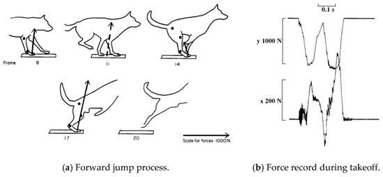 Research on the Jumping Control Methods of a Quadruped Robot That ...