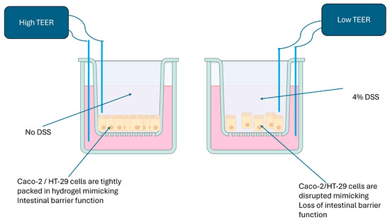 Development of 3D-Bioprinted Colitis-Mimicking Model to Assess ...