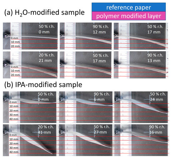 Chemical Gradients in Polymer-Modified Paper Sheets—Towards Single ...