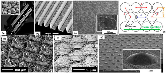 Tribological Behavior of Bioinspired Surfaces