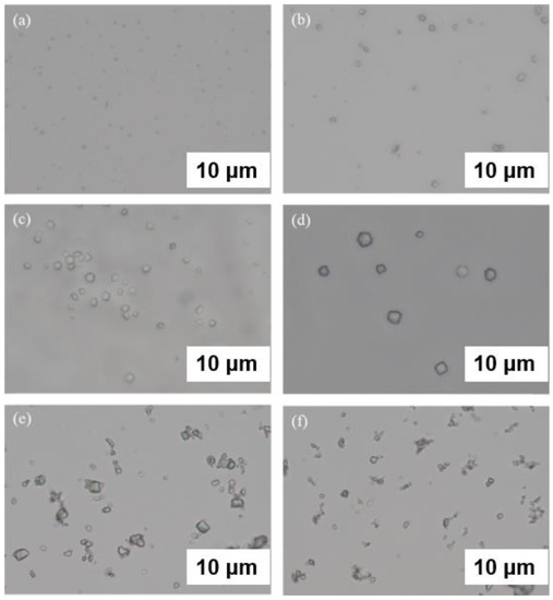 Heterogeneous Nucleation in Protein Crystallization