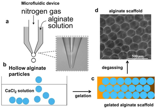 Biomimetics | Free Full-Text | Microfluidic Fabrication of Natural Polymer-Based Scaffolds for ...