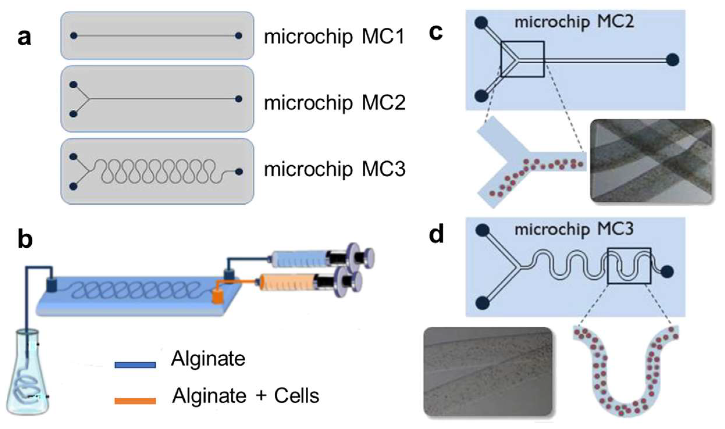 Biomimetics | Free Full-Text | Microfluidic Fabrication of Natural Polymer-Based Scaffolds for ...