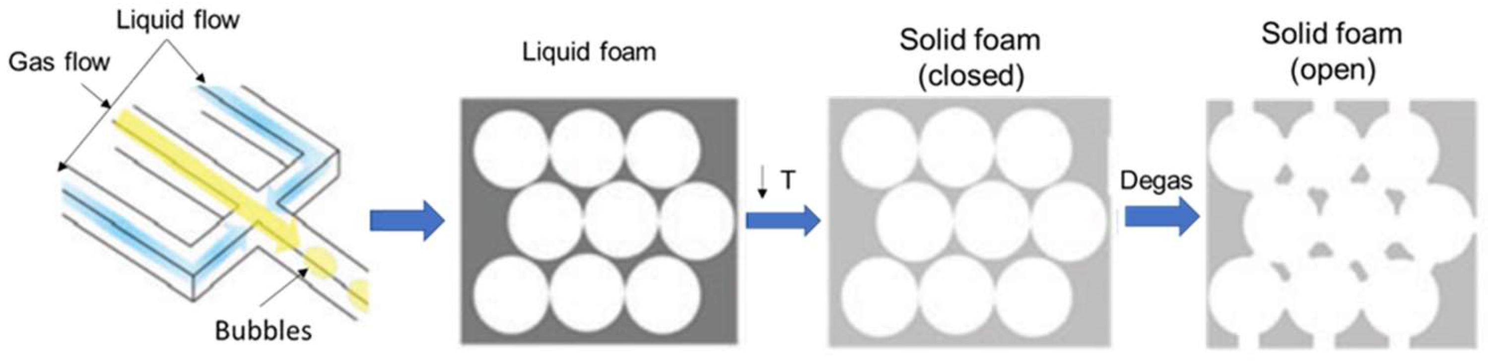 Biomimetics | Free Full-Text | Microfluidic Fabrication of Natural Polymer-Based Scaffolds for ...