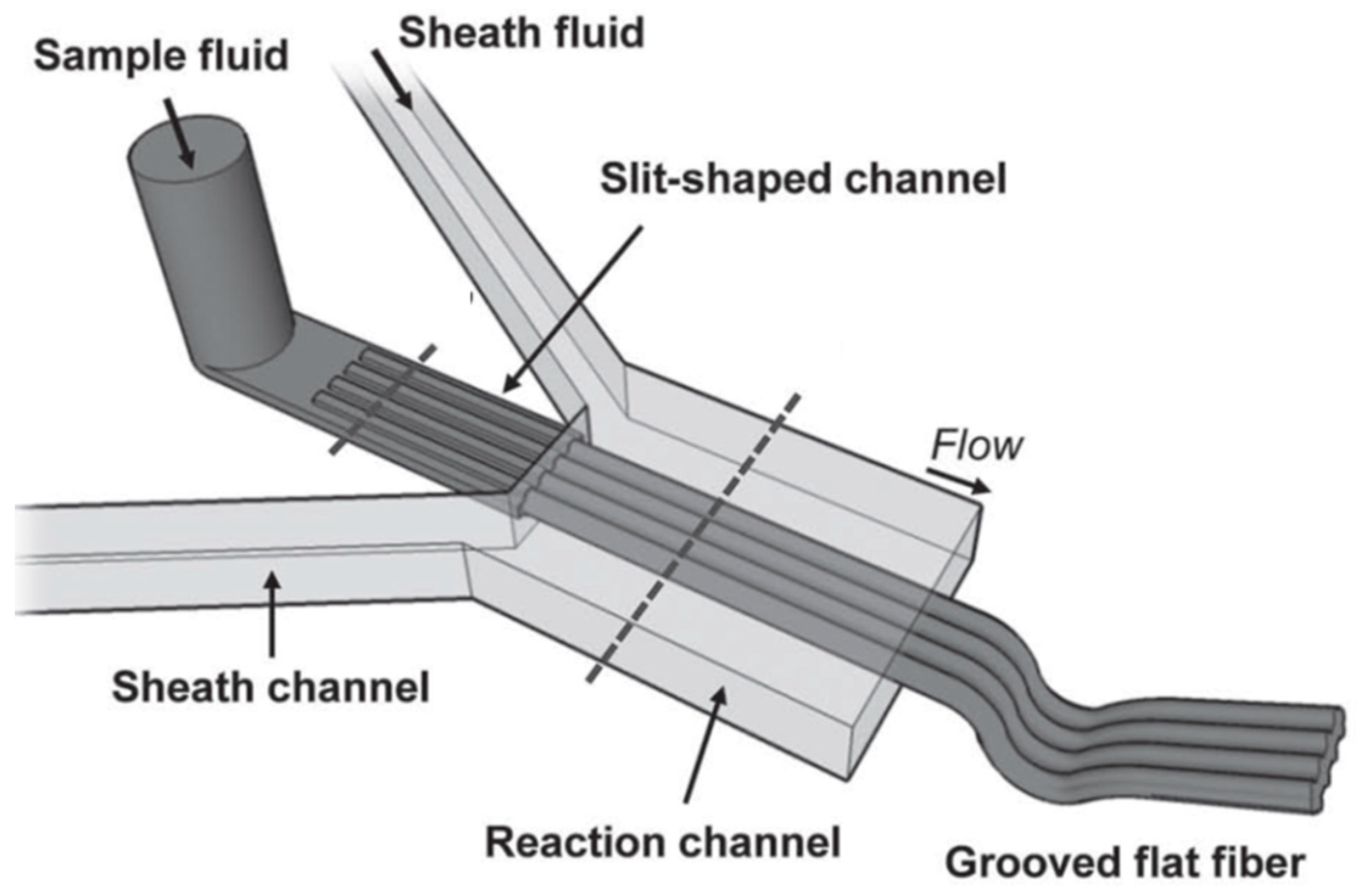 Biomimetics | Free Full-Text | Microfluidic Fabrication of Natural Polymer-Based Scaffolds for ...