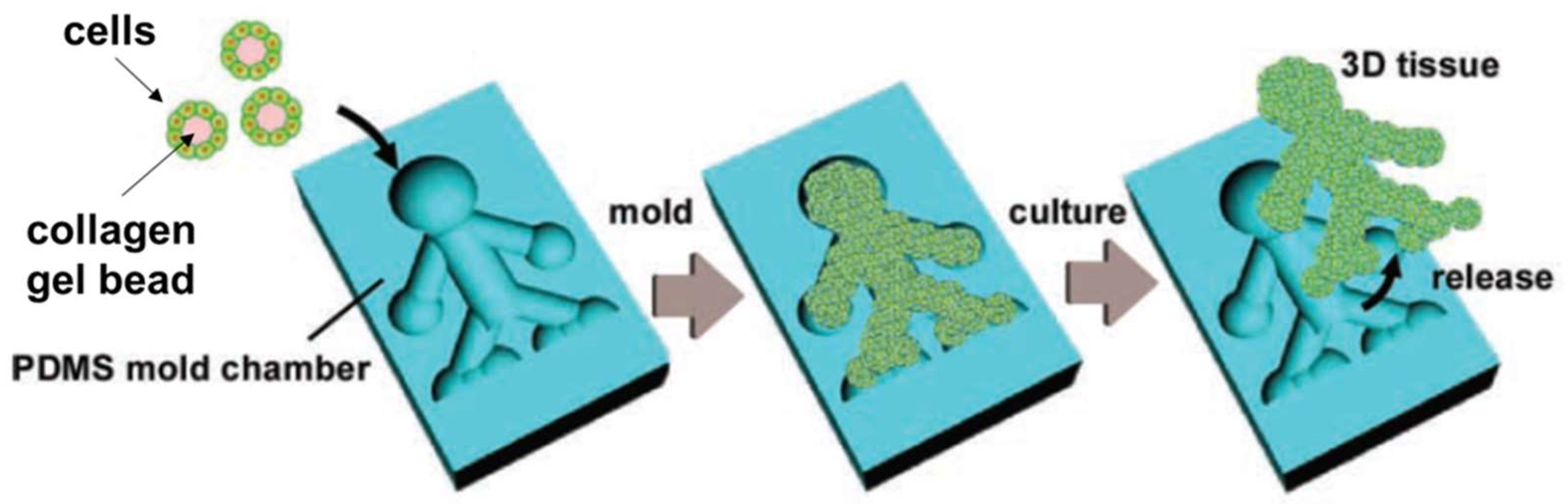 Biomimetics | Free Full-Text | Microfluidic Fabrication of Natural Polymer-Based Scaffolds for ...