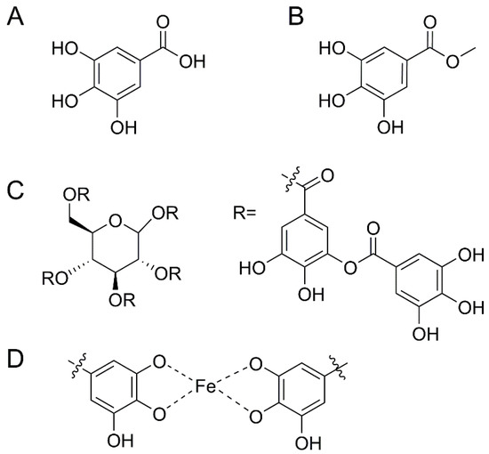 Iron Sequestration by Galloyl–Silane Nano Coatings Inhibits Biofilm ...