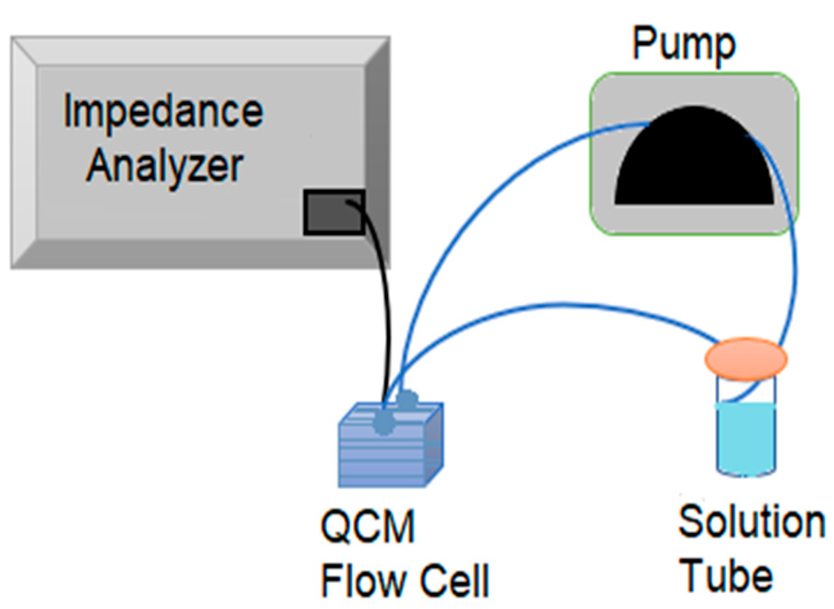 A Novel Peptide-Based Detection of SARS-CoV-2 Antibodies