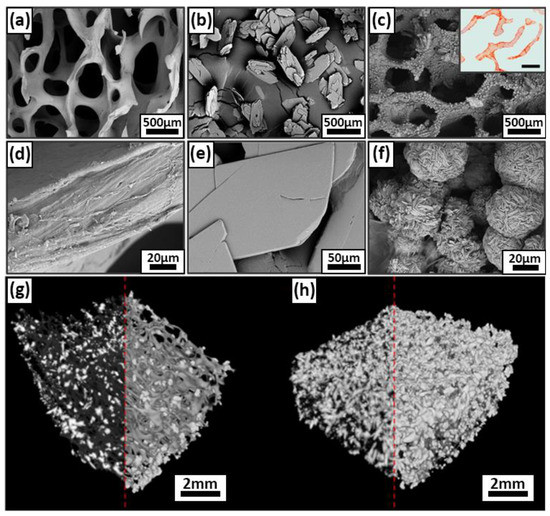 Biomimetic Remineralized Three-Dimensional Collagen Bone Matrices with an Enhanced ...