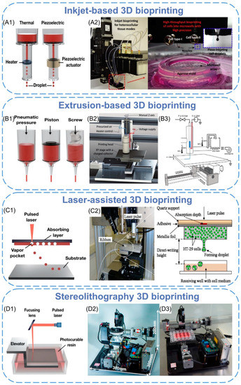 Convergence of 3D Bioprinting and Nanotechnology in Tissue Engineering Scaffolds